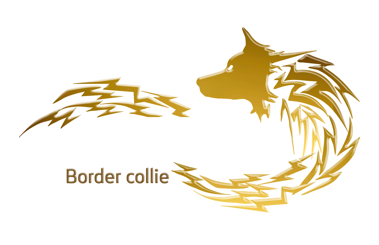 Club de Agility en Pontevedra • Thunderdogs Galicia